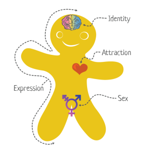 Embracing diversity: the Genderbread Person Workshop - Growens